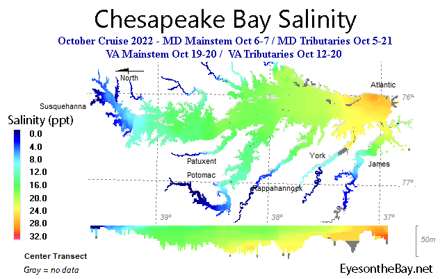 Eyes on the Bay: Click Before You Cast - Using Online Fishing Resources ...